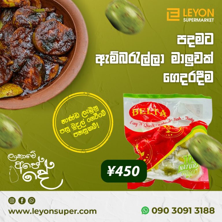 Leyon Super – Japan's Super Market Largest Online Shopping Store