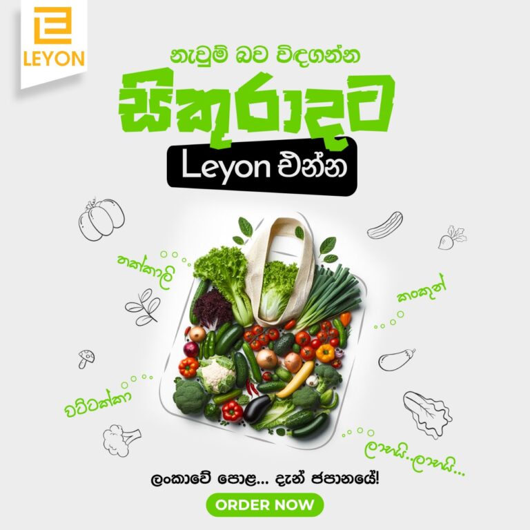 Leyon Super – Authentic Sri Lankan Food & Groceries in Japan